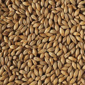 Beginner's Guide to All Grain Brewing: Simplifying the Process
