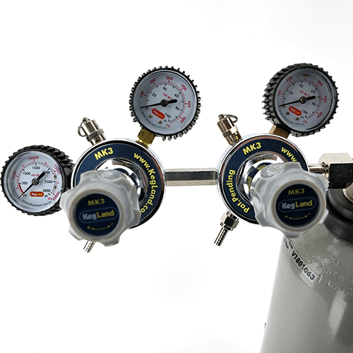 Type 30 Dual Pressure regulator