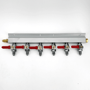6 Output / 6 Way Manifold Gas Line Splitter with Check Valves (1/4 ...