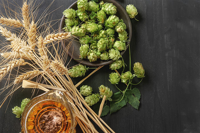 Home Brew Supplies - KegLand Australia