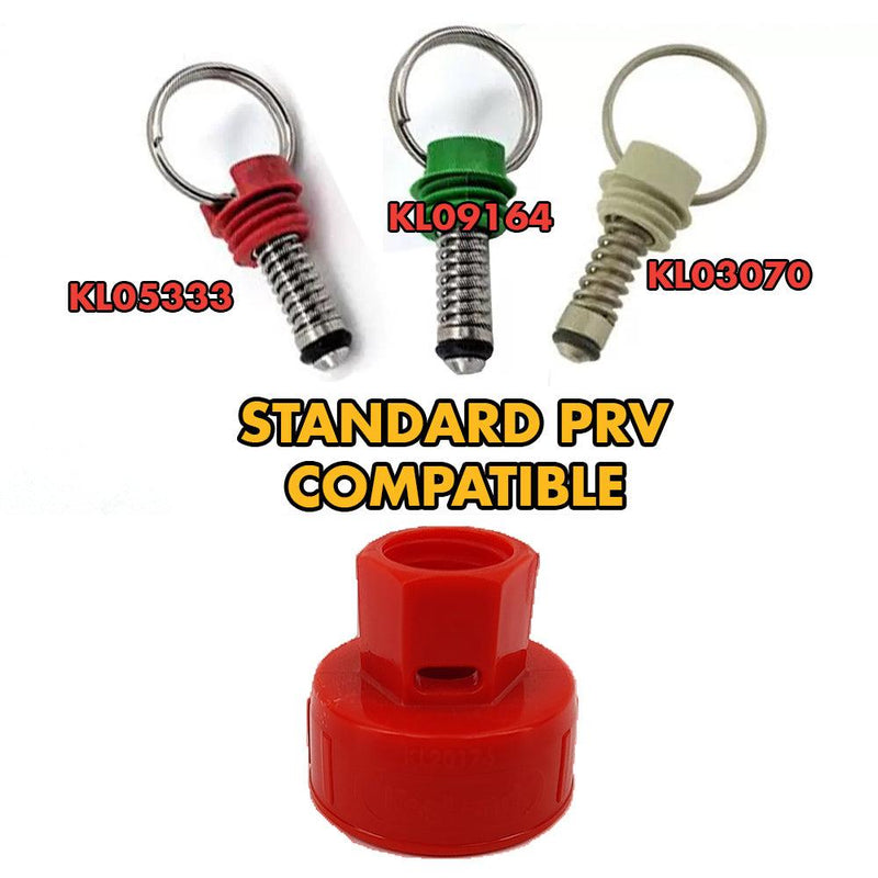 Mini Kegs - Portable Kegs for On-the-Go Draft Beer